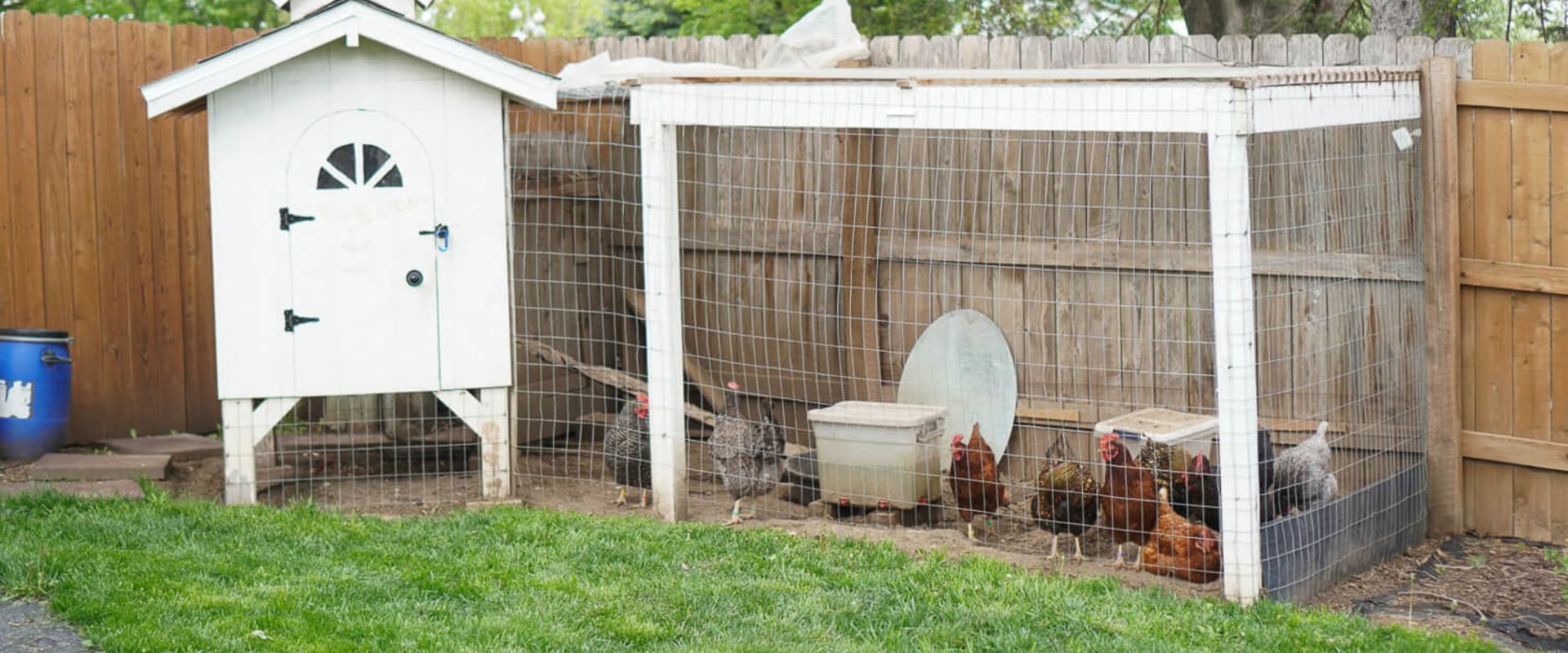 Adding Roofing and Finishing Touches for Your Chicken Coop