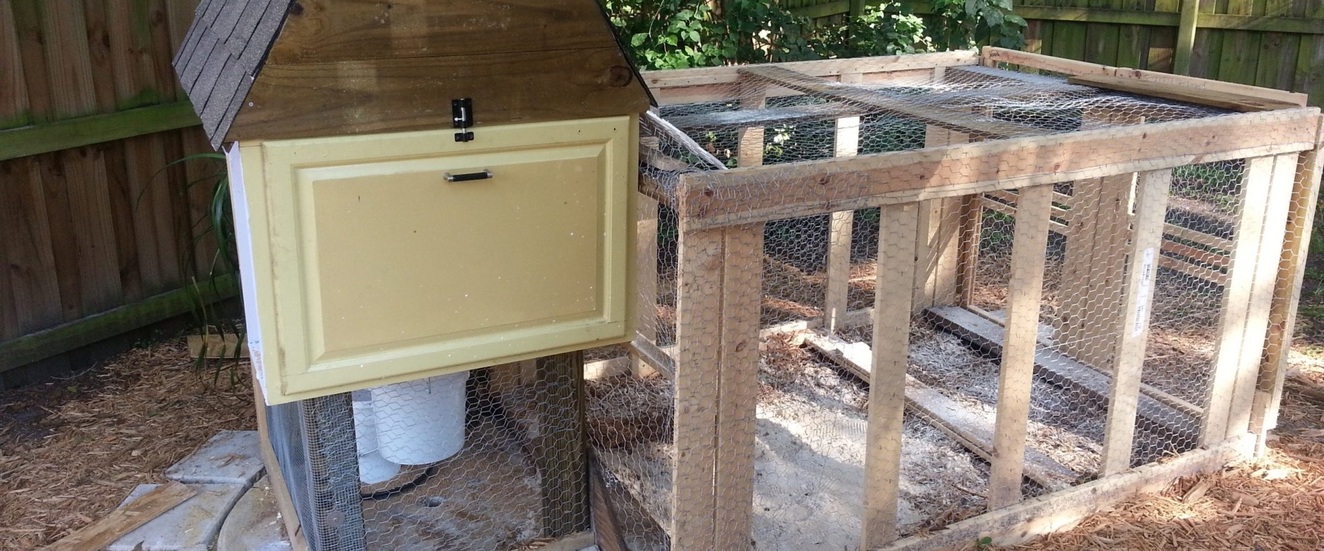 Budget-Friendly Options for Building a Chicken Coop